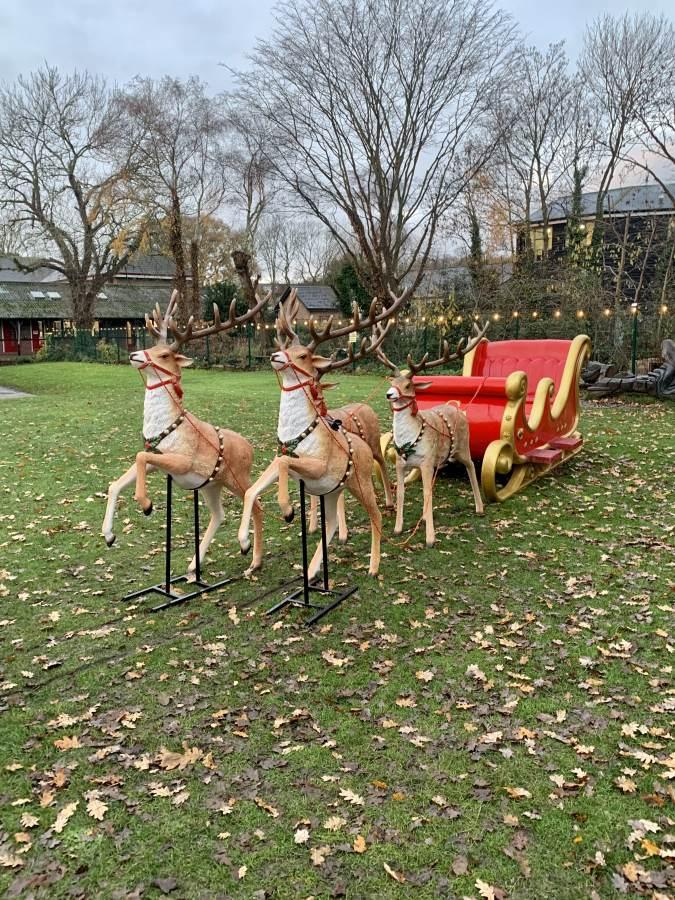 Enchanting Sleigh and Reindeer Photo Op Package Rental