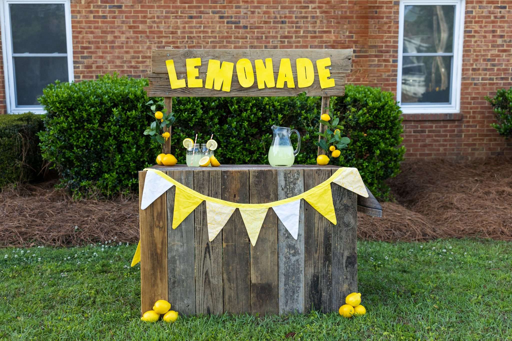 Fresh Lemonade Stall Hire – Boutique Party Hire